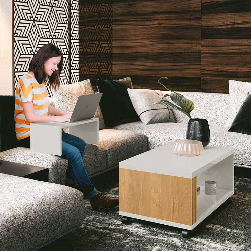 Mesa de Centro com Mesa Pra Notebook Prática EDN Fendi/Freijo